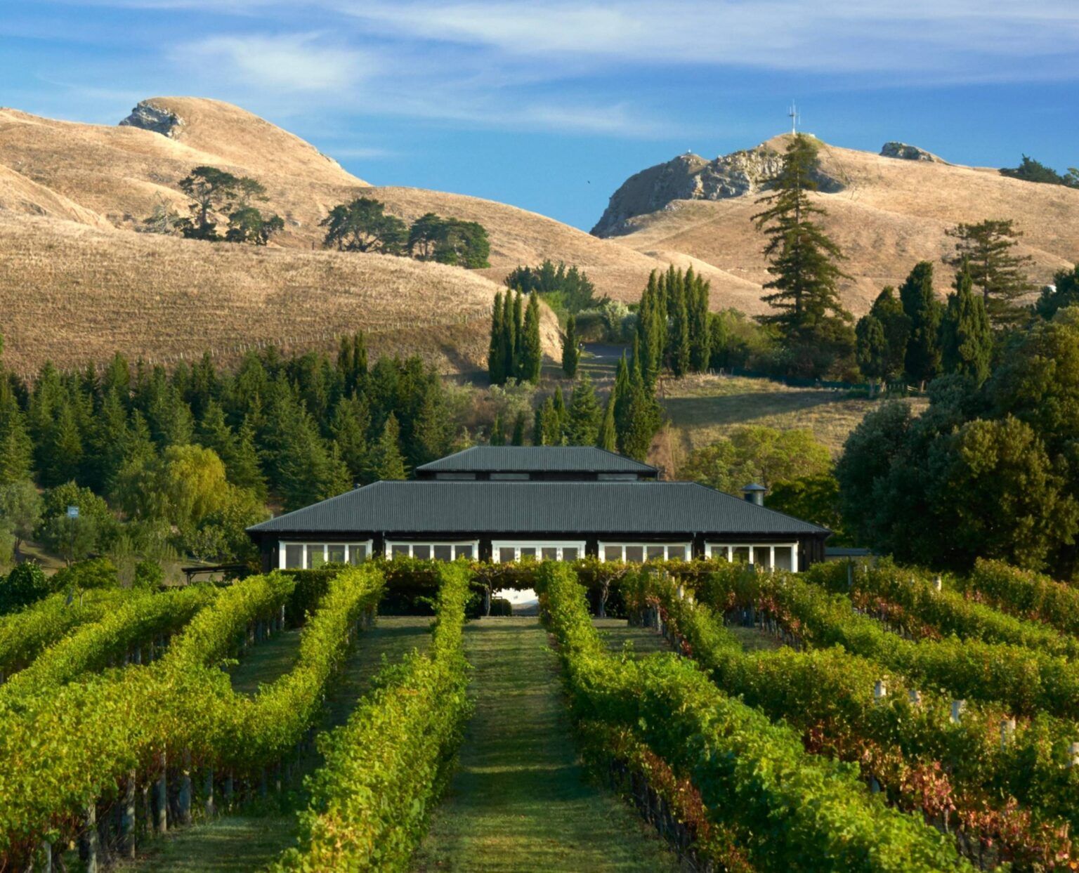 Location – Iona Havelock North